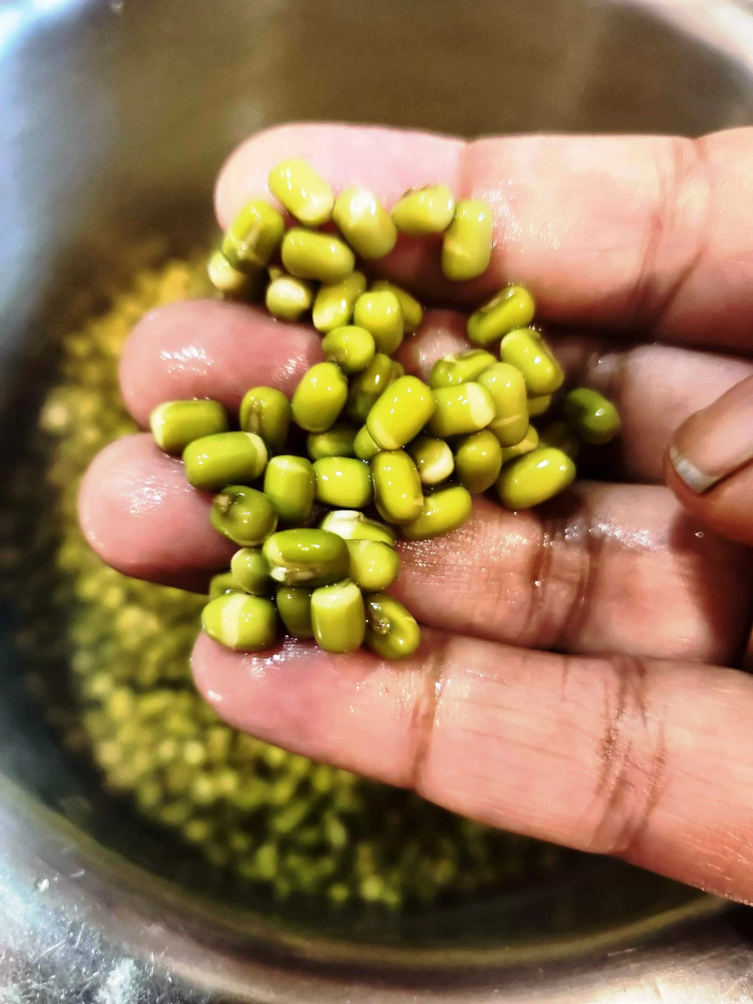 How To Make Sprouts And Why? |Without Sprout Maker|Easy Method