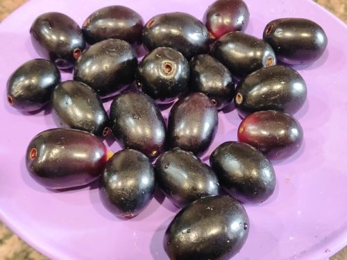 Sugar-Free Jamun Shots Recipe | Diabetic Friendly